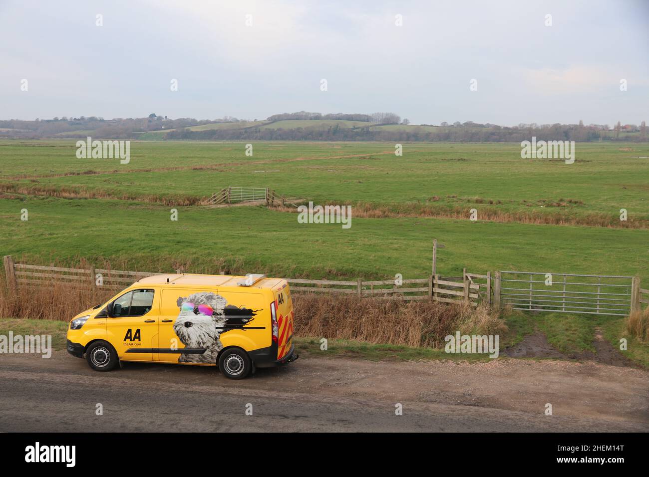 AA BREAKDOWN FORD TRANSIT VAN FEATURING TUKKER THE DOG Stock Photo - Alamy