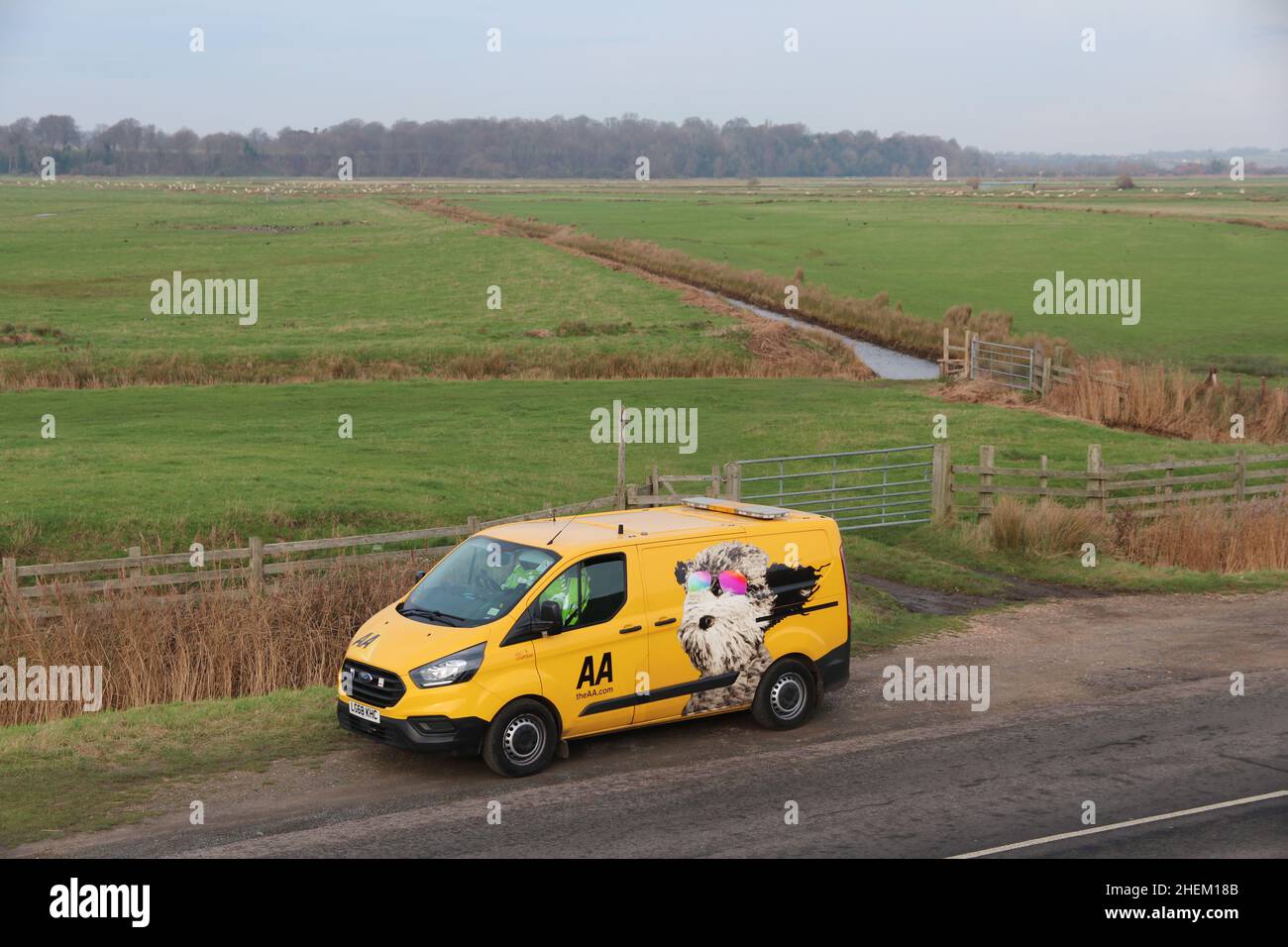 AA BREAKDOWN FORD TRANSIT VAN FEATURING TUKKER THE DOG Stock Photo - Alamy