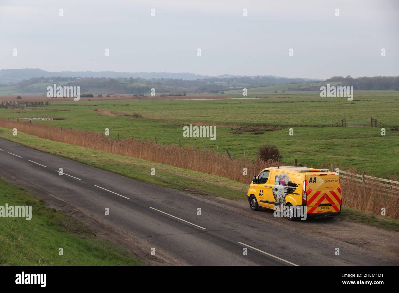 AA BREAKDOWN FORD TRANSIT VAN FEATURING TUKKER THE DOG Stock Photo - Alamy