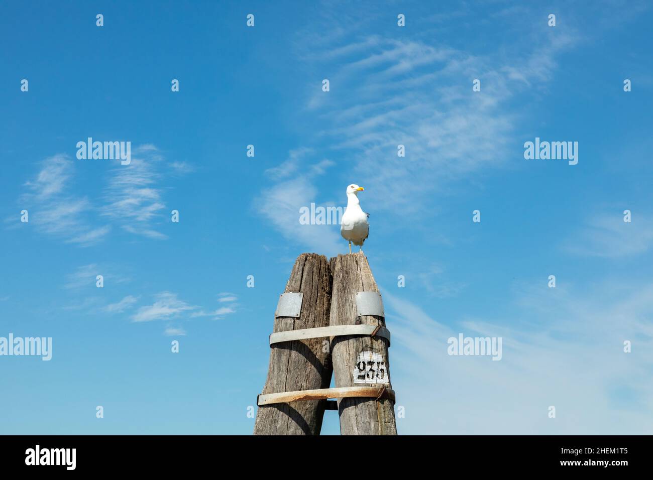 marker for the waterway at the lagoon in Venice under blue sky with ...