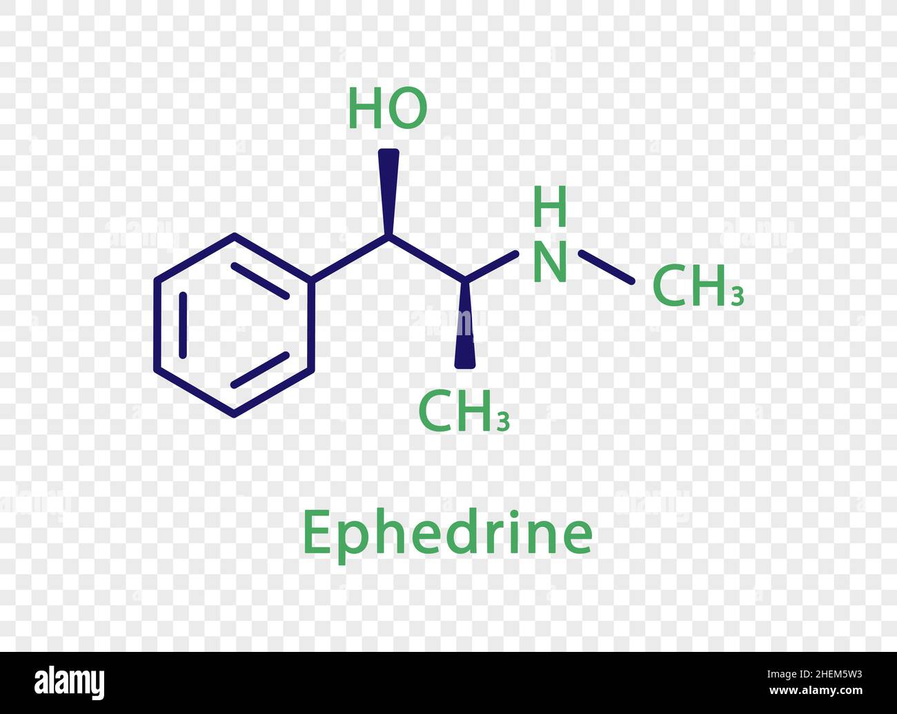 Ephedra illustration Stock Vector Images - Alamy