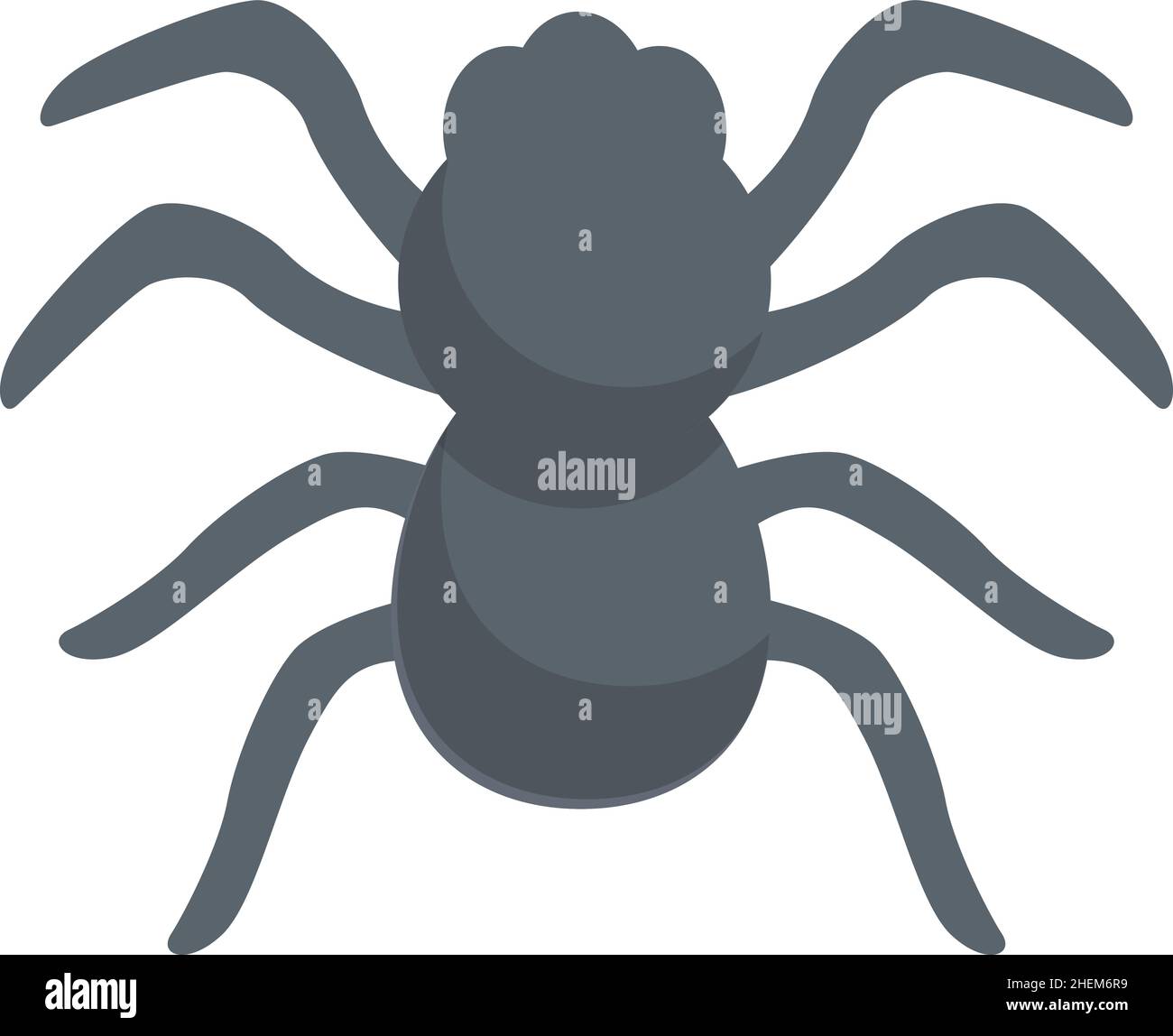 Spider bug icon cartoon vector. Widow animal. Bite spider Stock Vector ...