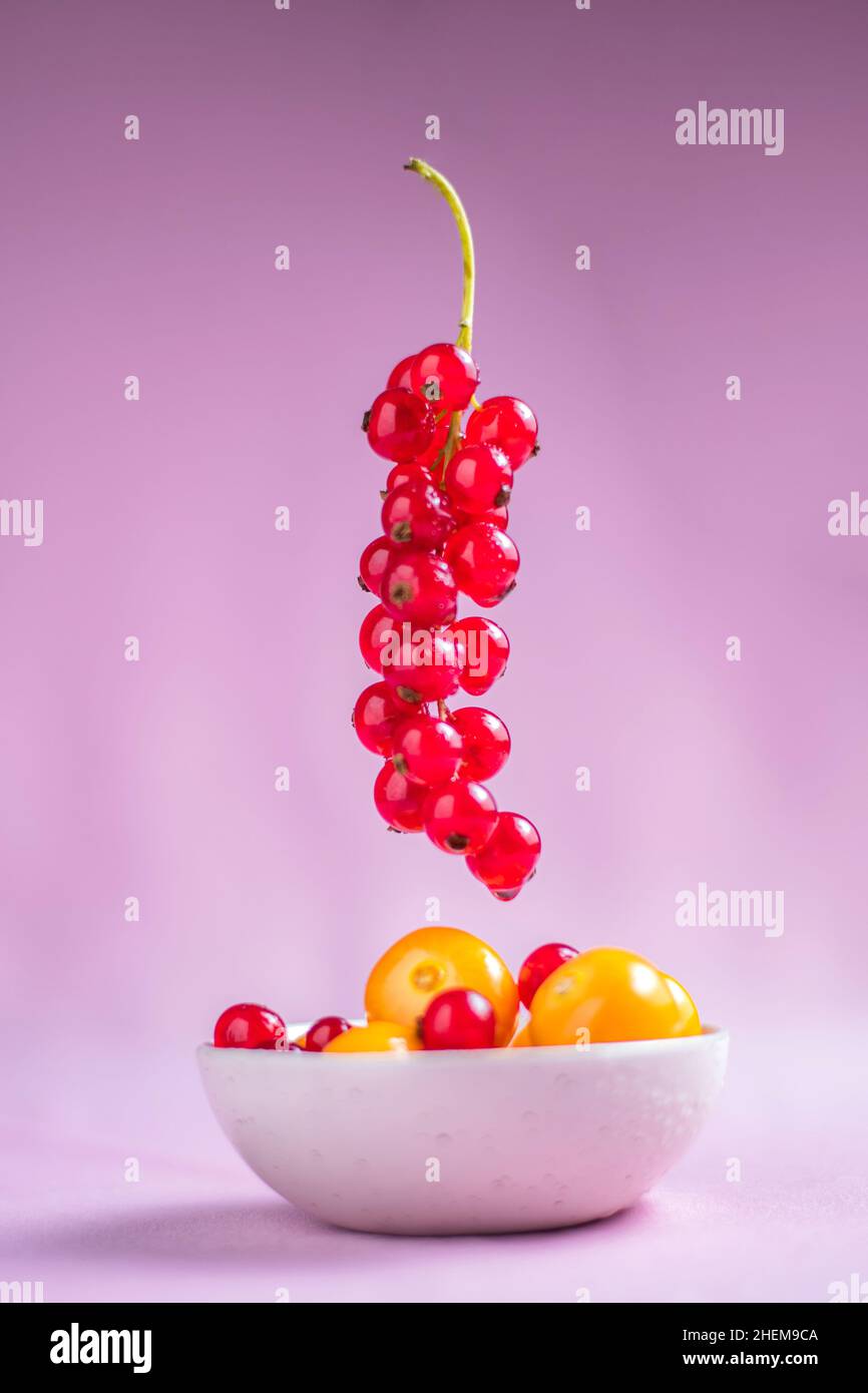 Red current berry in a flying levitation with clean background. Ripe ...