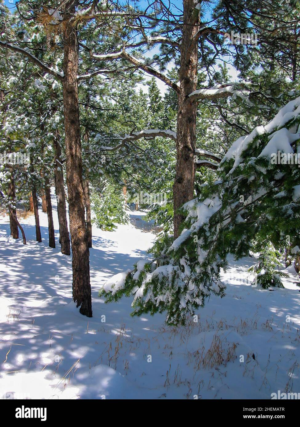 Snowy landscape denver hi-res stock photography and images - Alamy