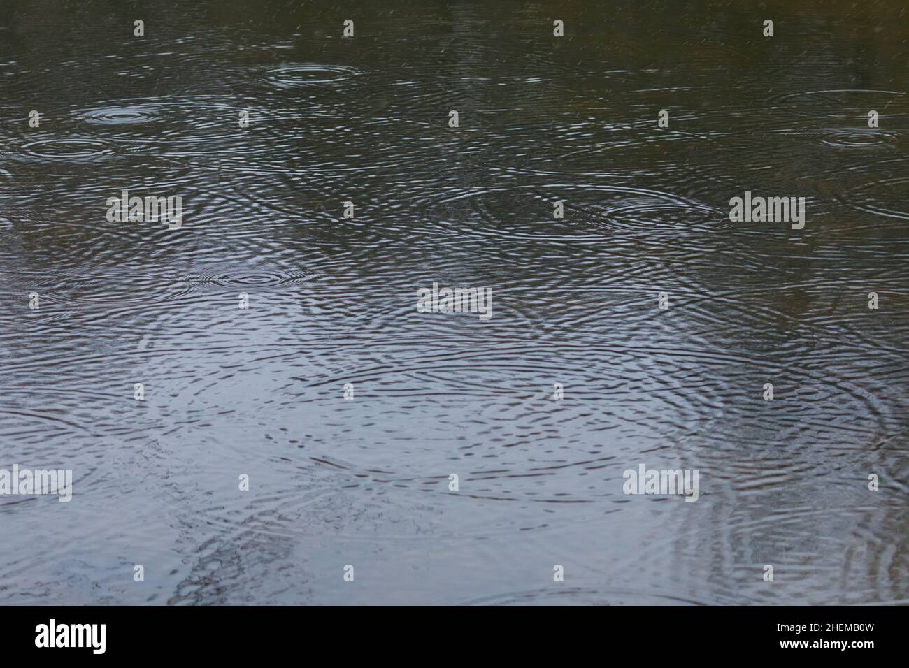 Water drops create circular patterns on the water. Lines and ripples in ...