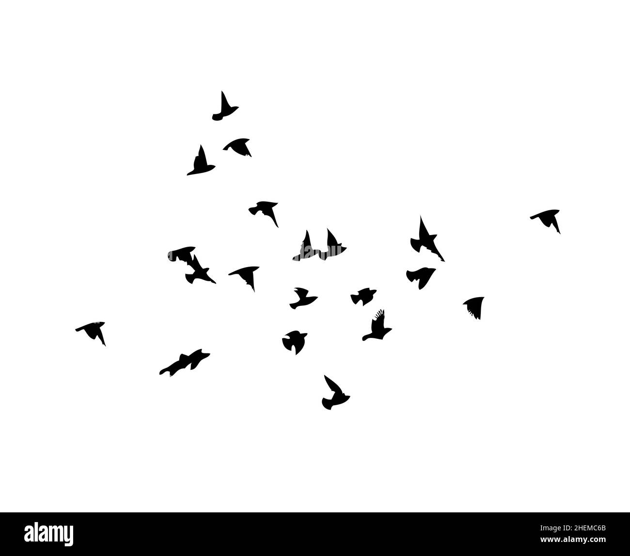 A flock of flying birds. Free birds. Vector illustration Stock Vector ...
