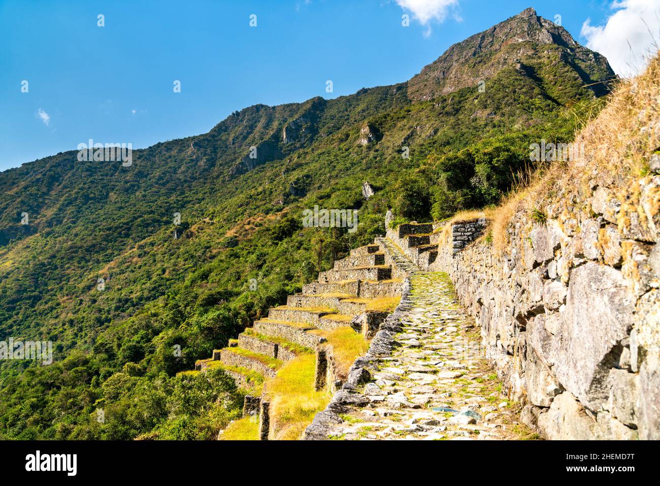 Ancient Incan terraces of Machu Picchu in Peru Stock Photo - Alamy