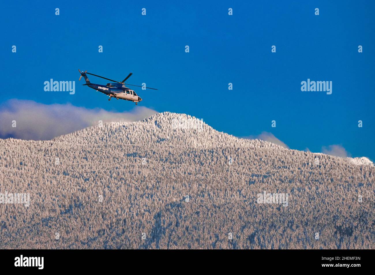 Helijet, helicopter, flying over forest, Vancouver, British Columbia ...