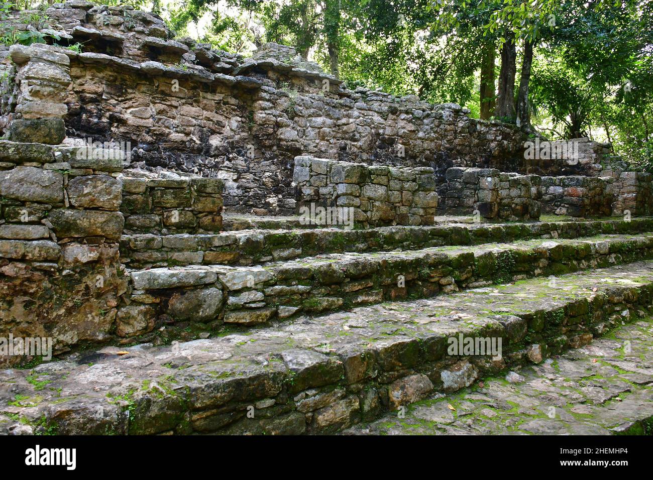 Maya ruins, Coba group, Coba Archeological Area, Quintana Roo, Yucatán ...