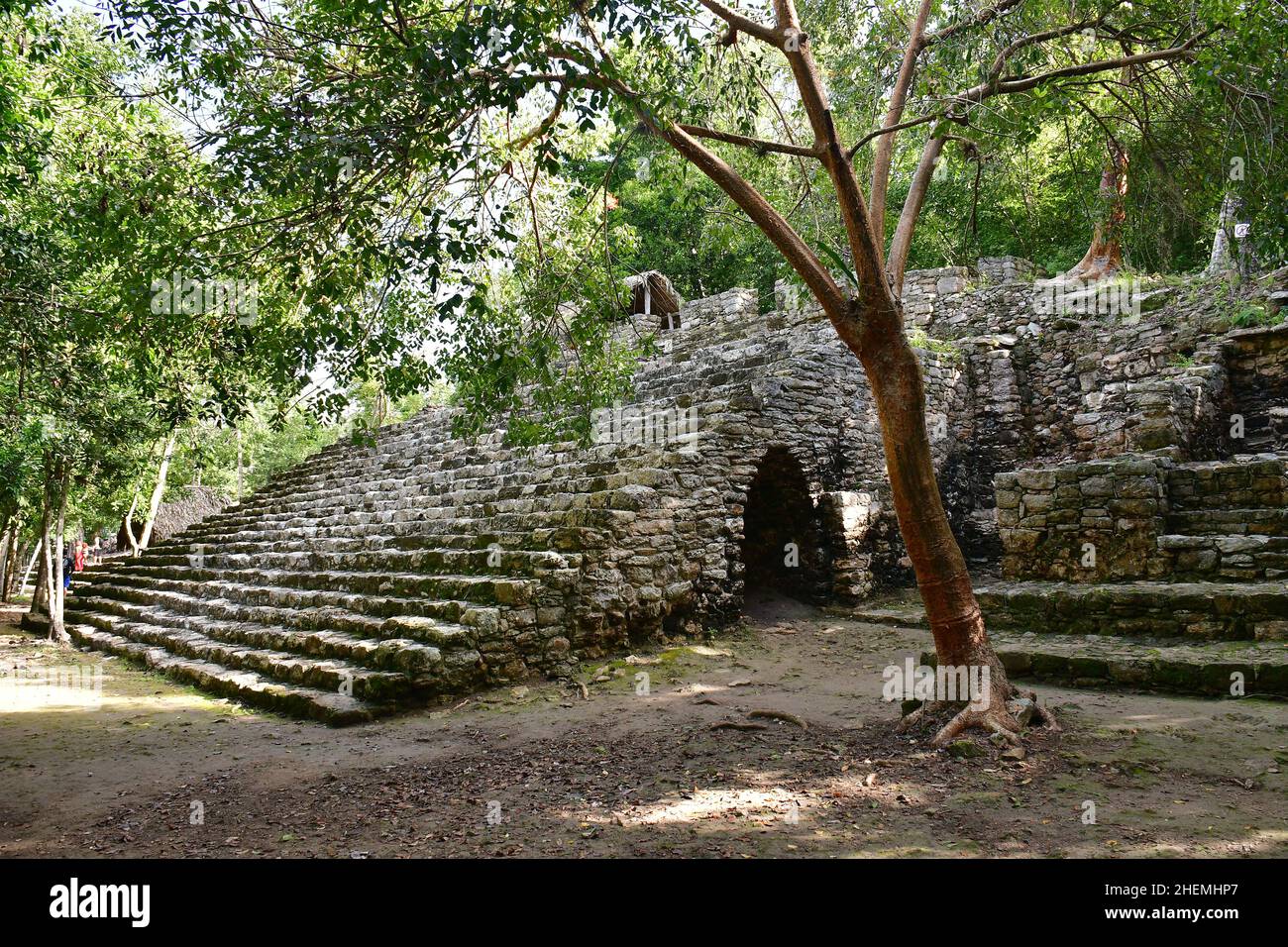 Maya ruins, Coba group, Coba Archeological Area, Quintana Roo, Yucatán ...