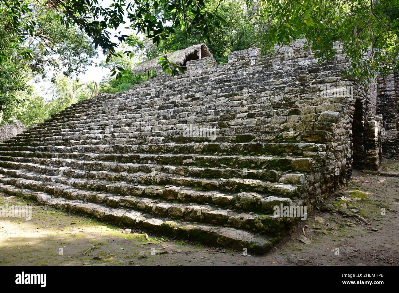 Maya ruins, Coba group, Coba Archeological Area, Quintana Roo, Yucatán ...