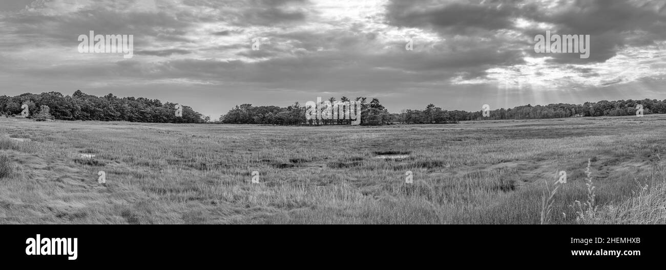 Scenic swamp hi-res stock photography and images - Alamy