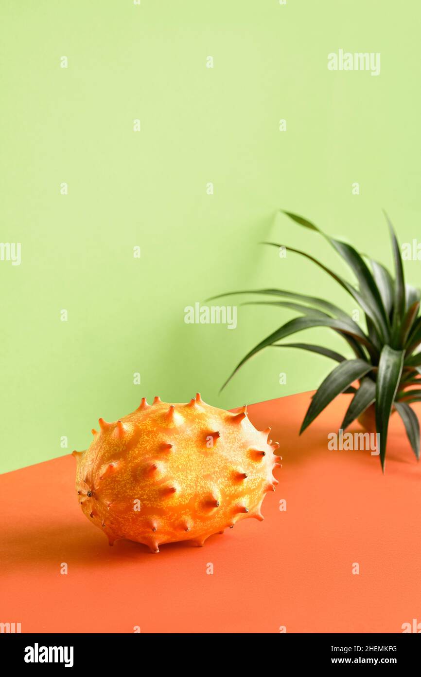 Dragon fruit, pitahaya, close-up on two color paper background. Vibrant ...