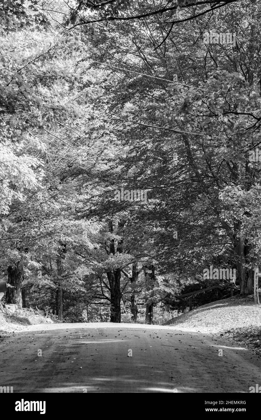 Road green Black and White Stock Photos & Images - Alamy