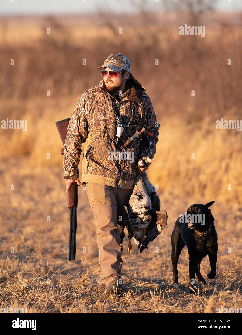 Hunting for a goose hi-res stock photography and images - Alamy