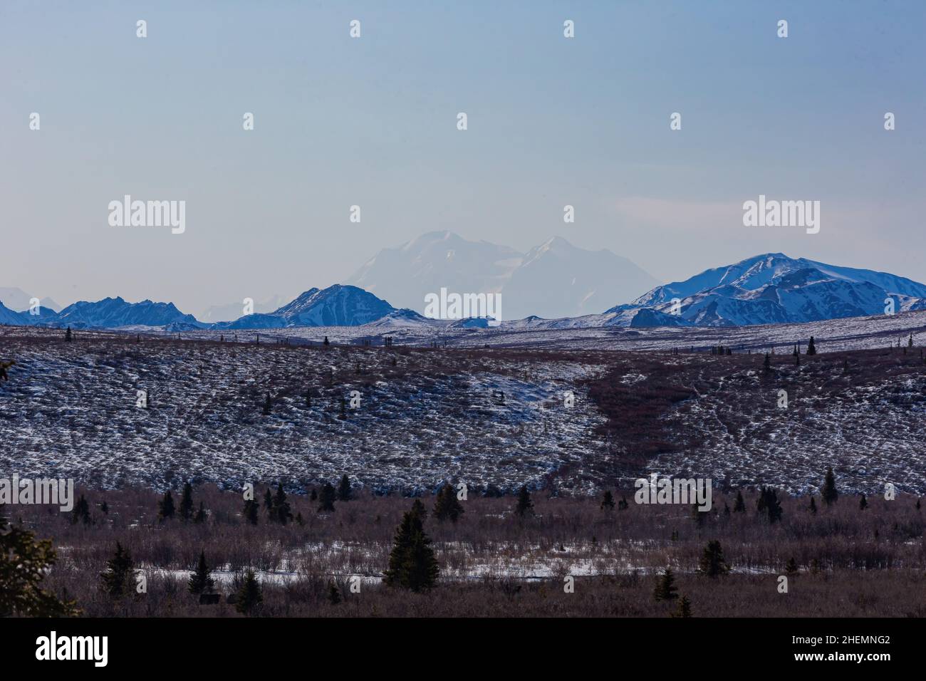 Afternoon landscape in Denali National Park and Preserve with Mount ...