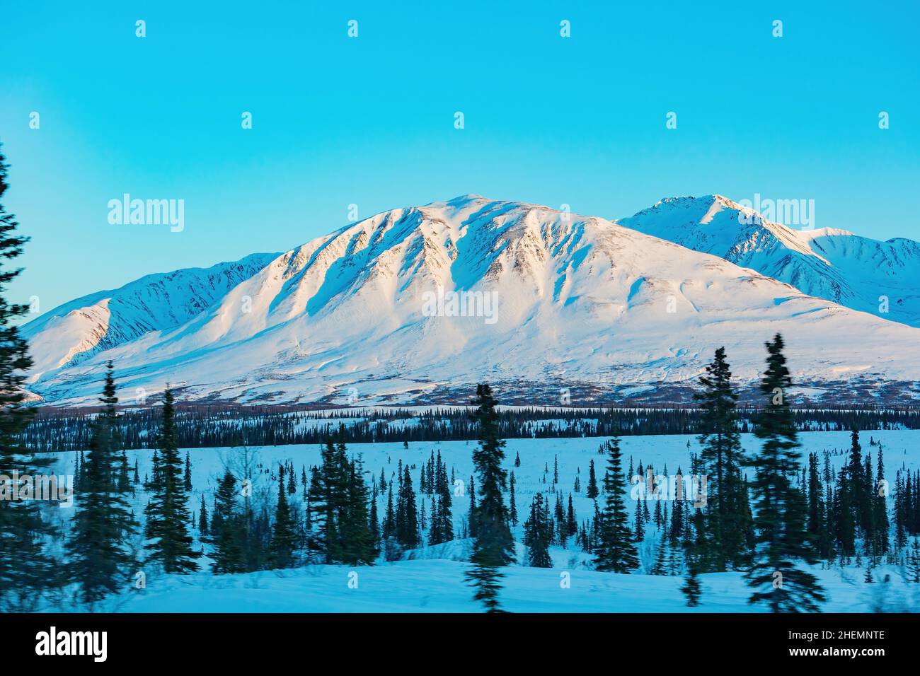 Afternoon landscape in Denali National Park and Preserve at Fairbanks ...