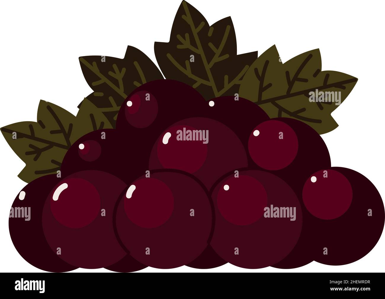 grapes fruit icon Stock Vector Image & Art - Alamy