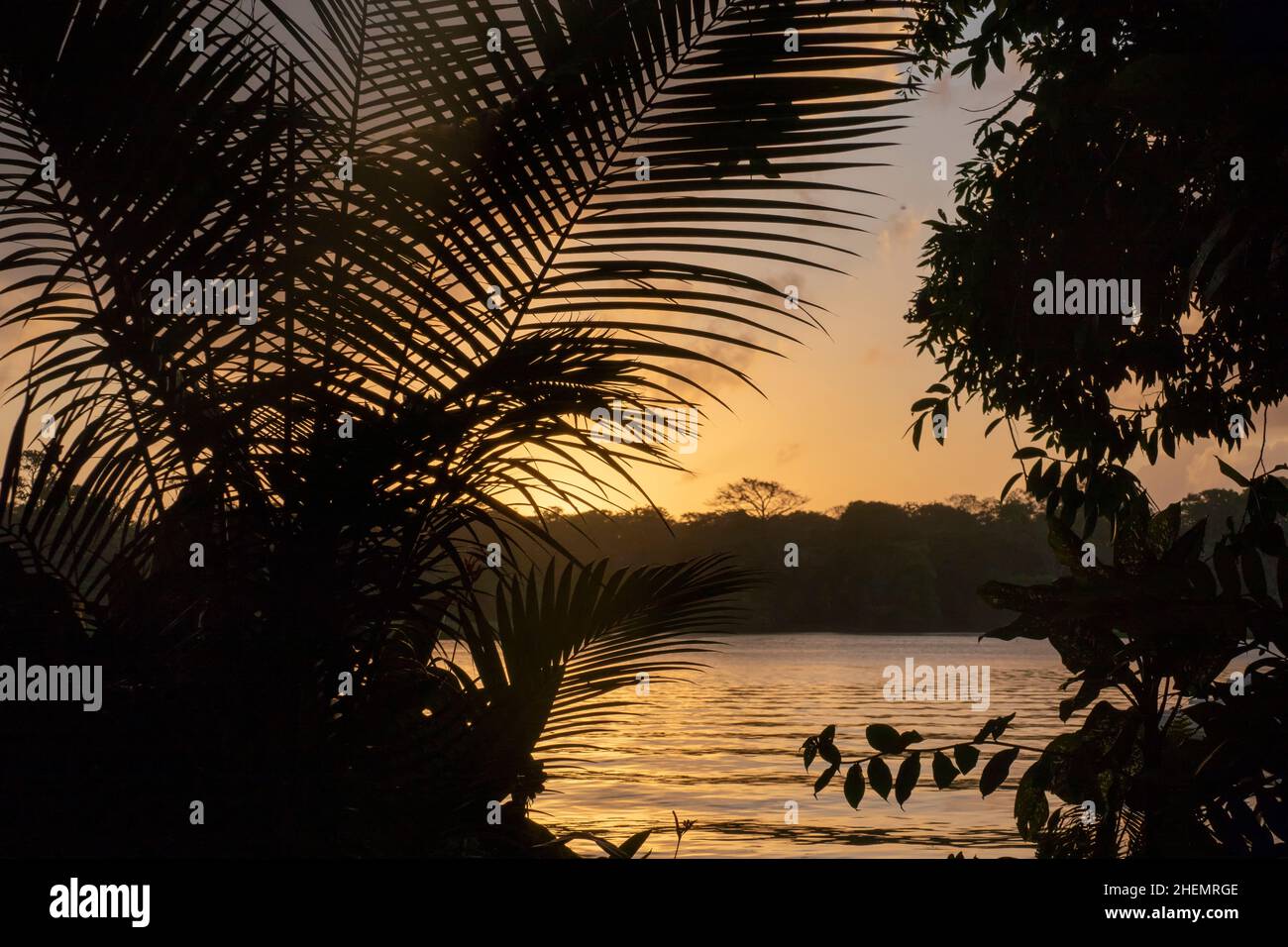 romantic sunset at the beach in Tortugenero in Costa Rica seen from ...