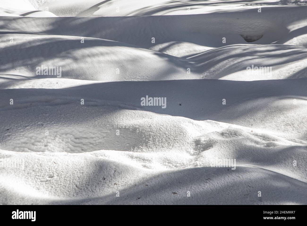 Snow texture in soft hi-res stock photography and images - Alamy