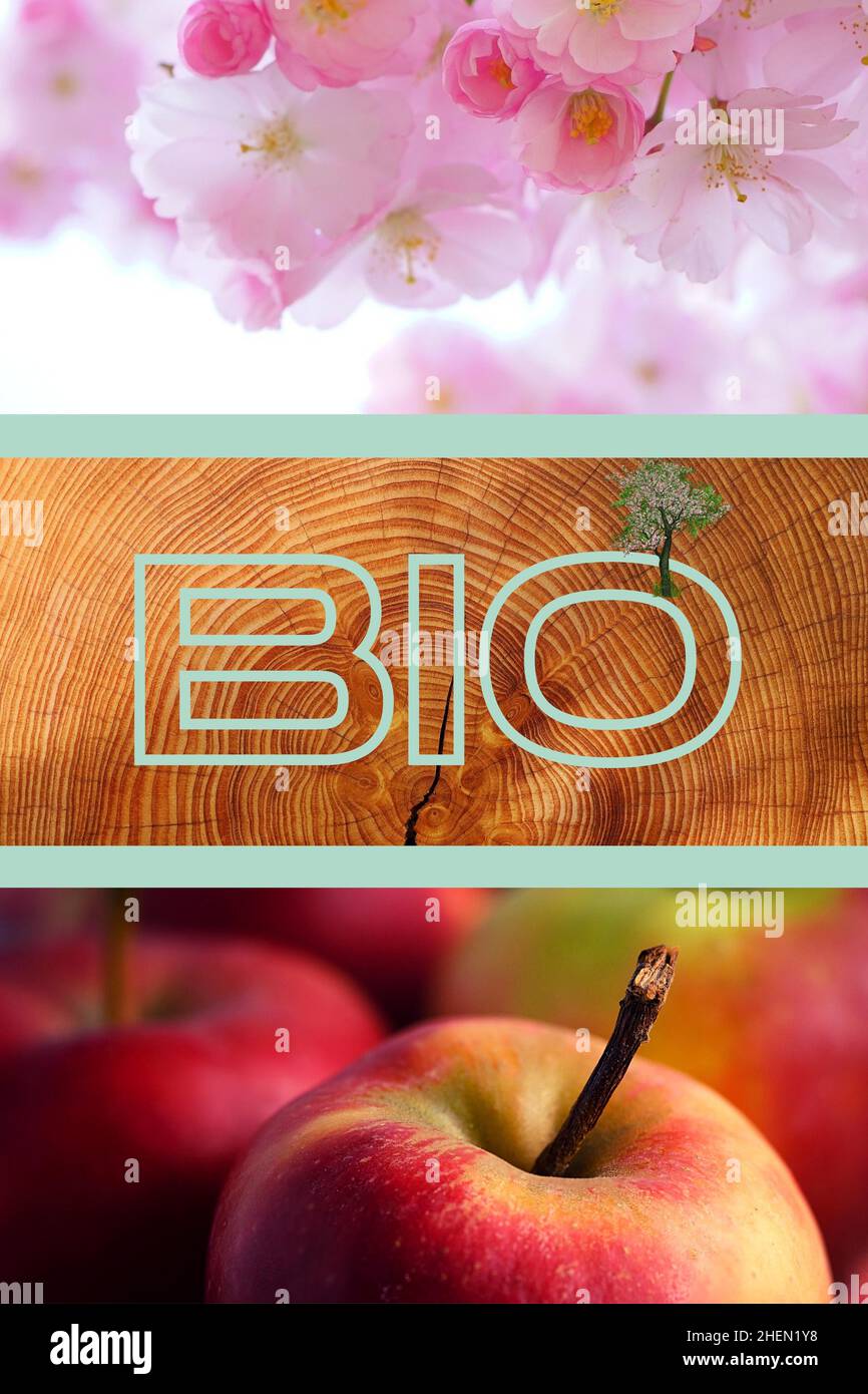 Word bio hi-res stock photography and images - Alamy