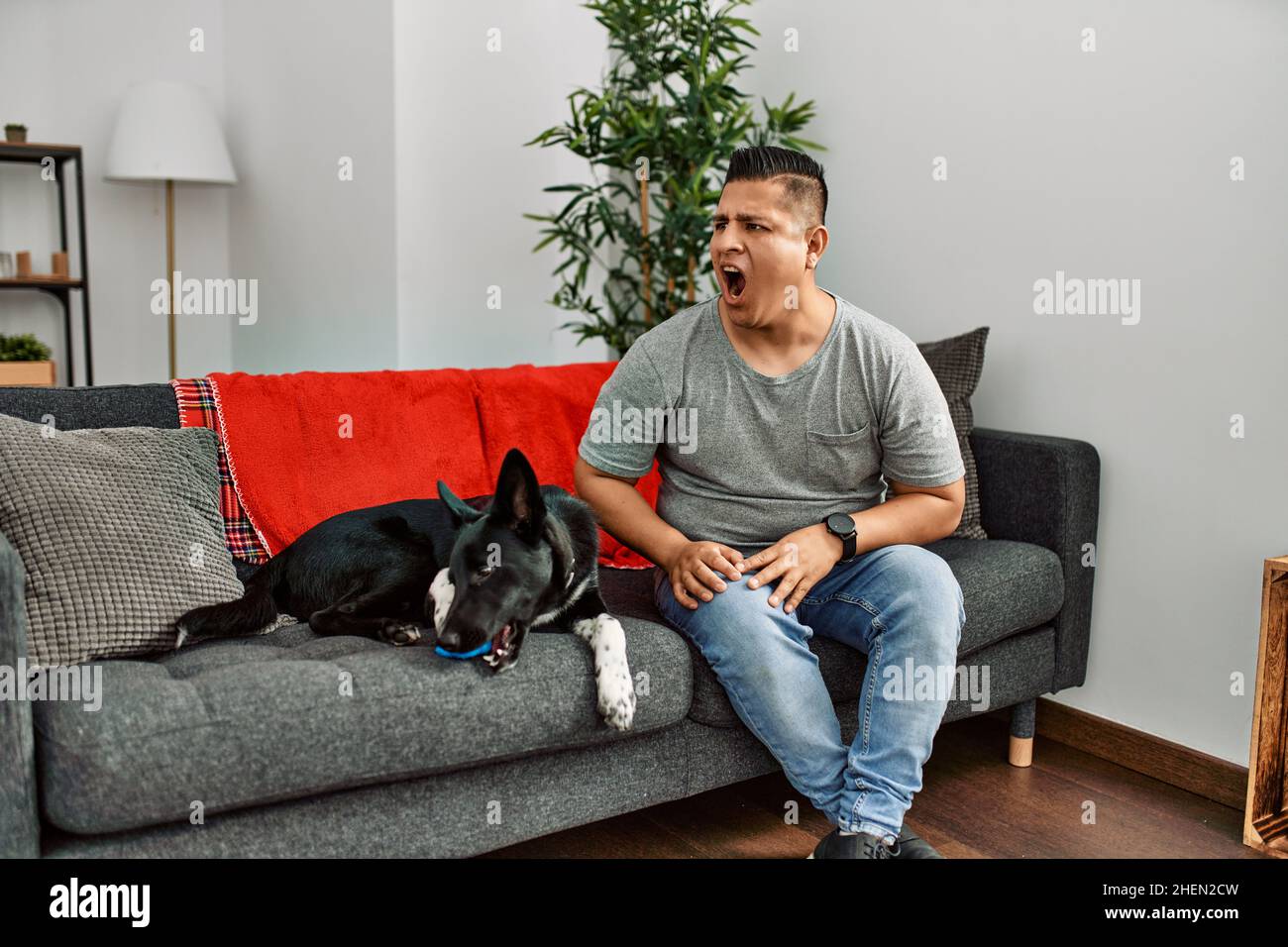 Young latin man and dog sitting on the sofa at home angry and mad ...
