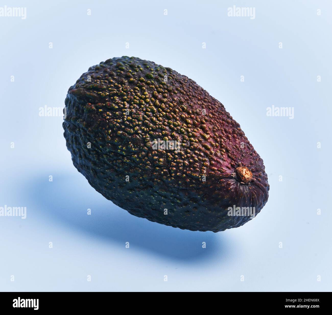 SIngle avocado fruit over blue background Stock Photo - Alamy