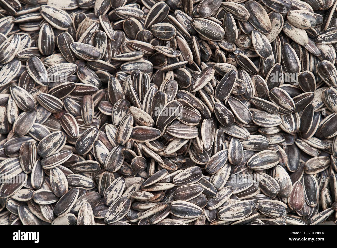 Beautiful sunflower seeds image Stock Photo - Alamy