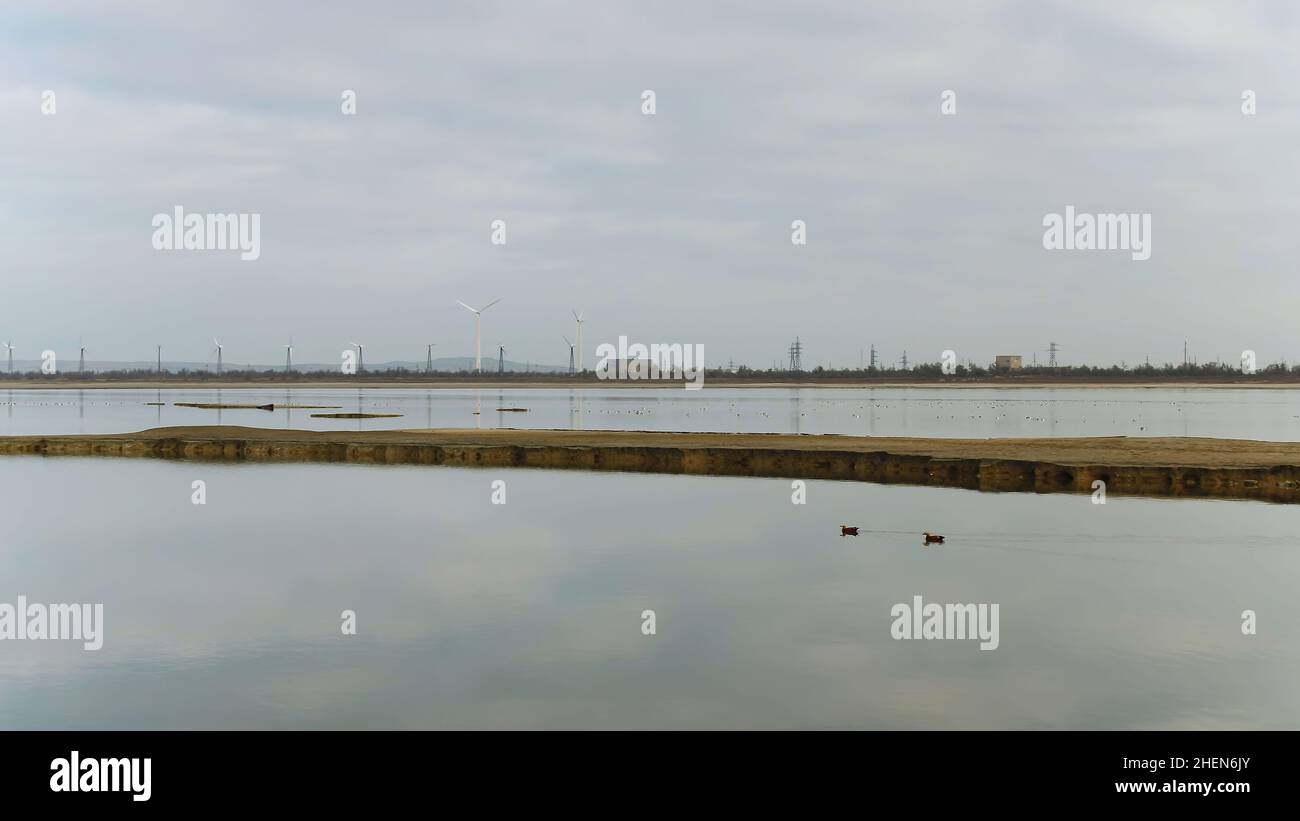 Aerial for flying wild ducks above the lake on blue sky background ...