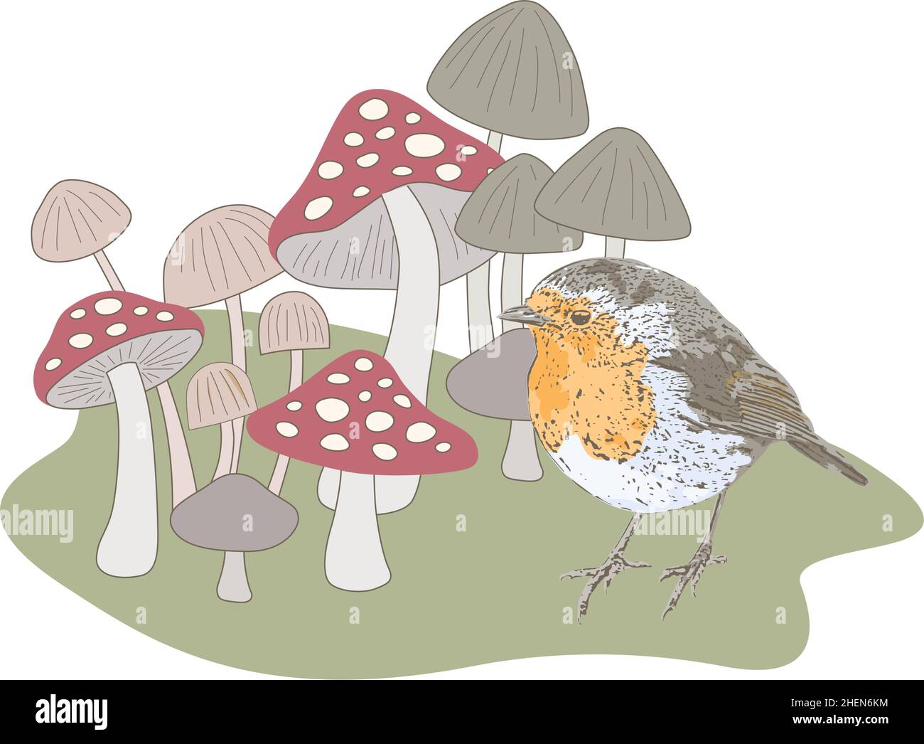 mushrooms and bird Stock Vector Image & Art - Alamy