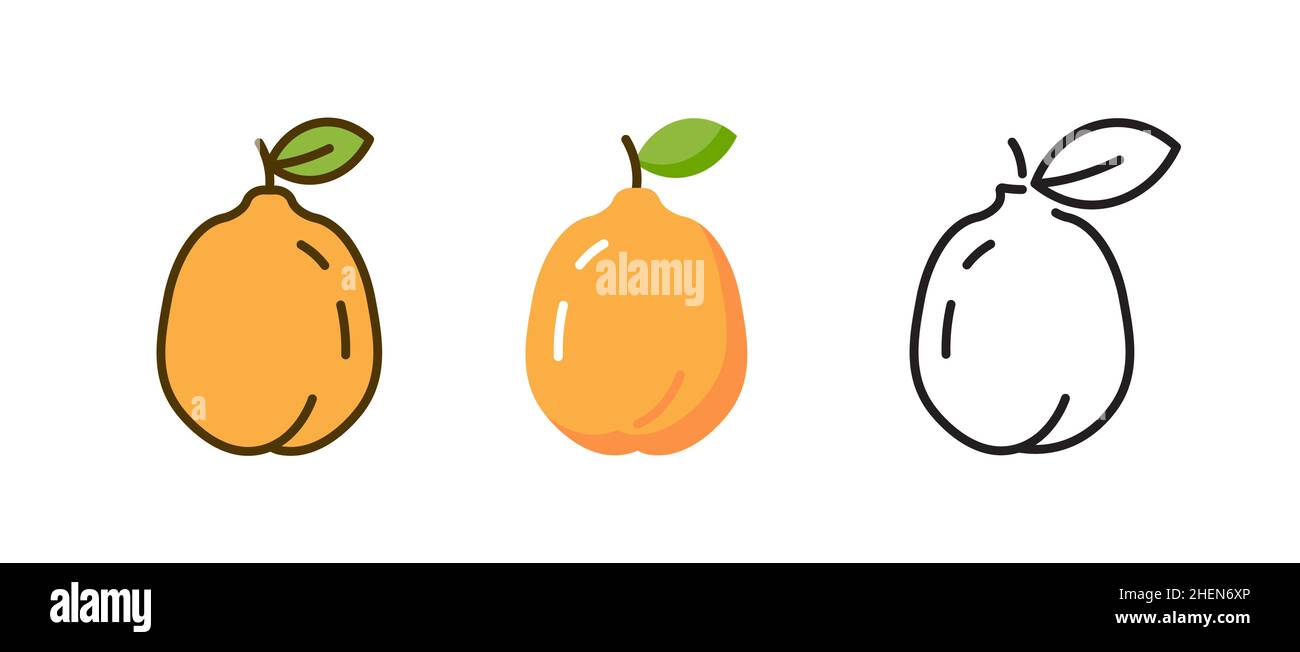 Quince vector flat icon. Quince fruit illustration food design Stock ...
