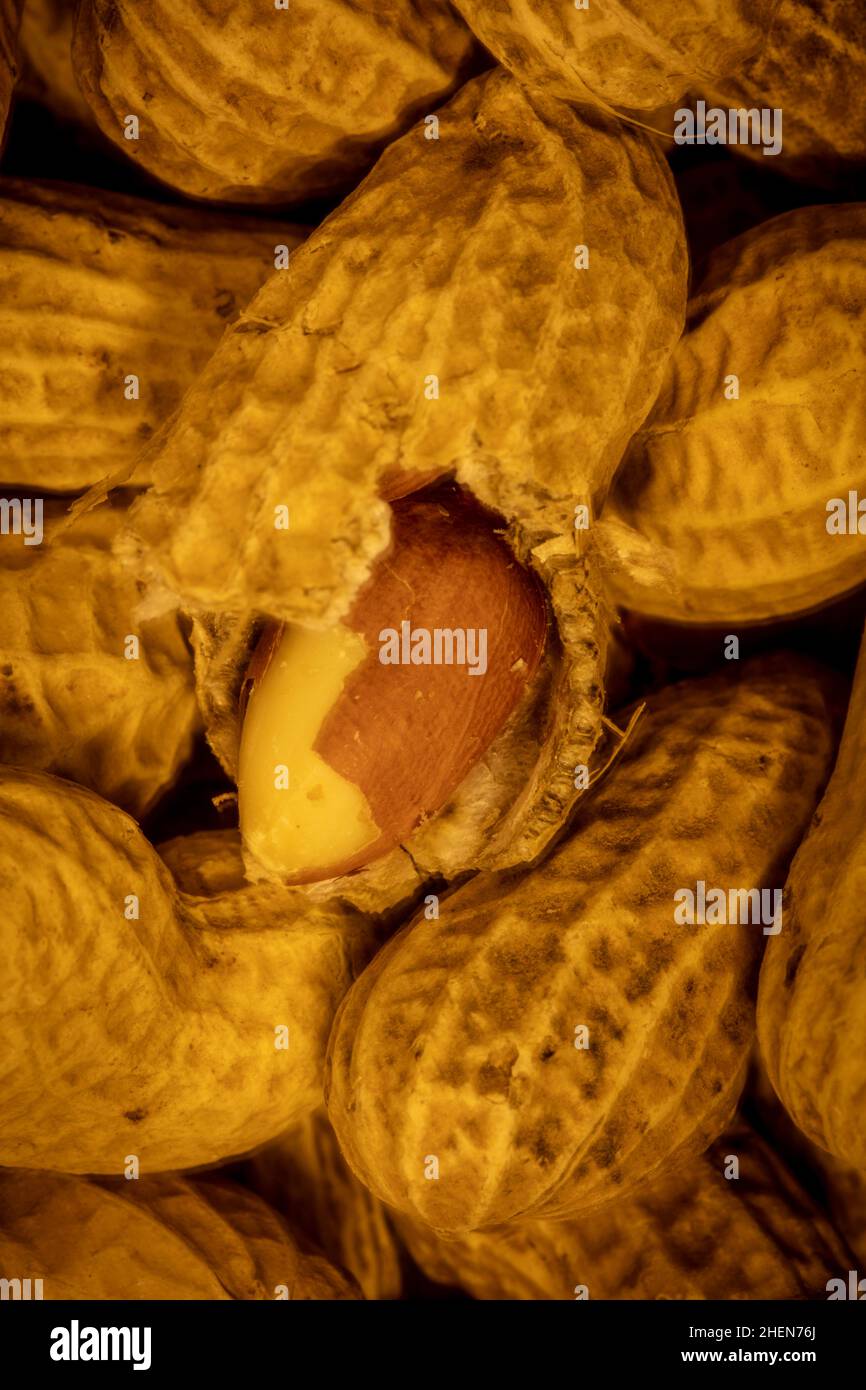 Close up semi-abstract food still life of Peanuts, some in their shells ...