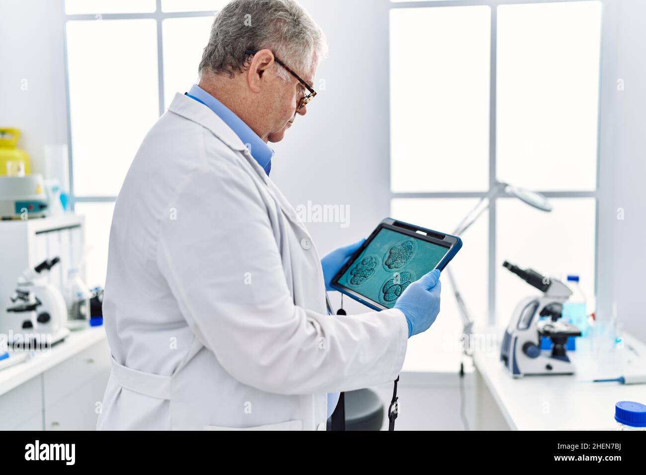 Middle age grey-haired man wearing scientist uniform looking embryology ...