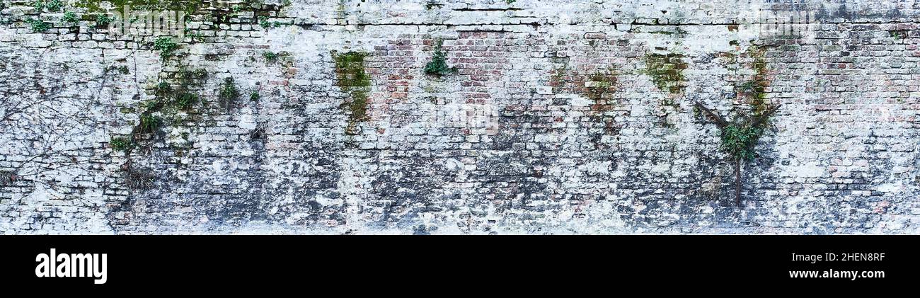 Decay brick wall surface background Stock Photo - Alamy