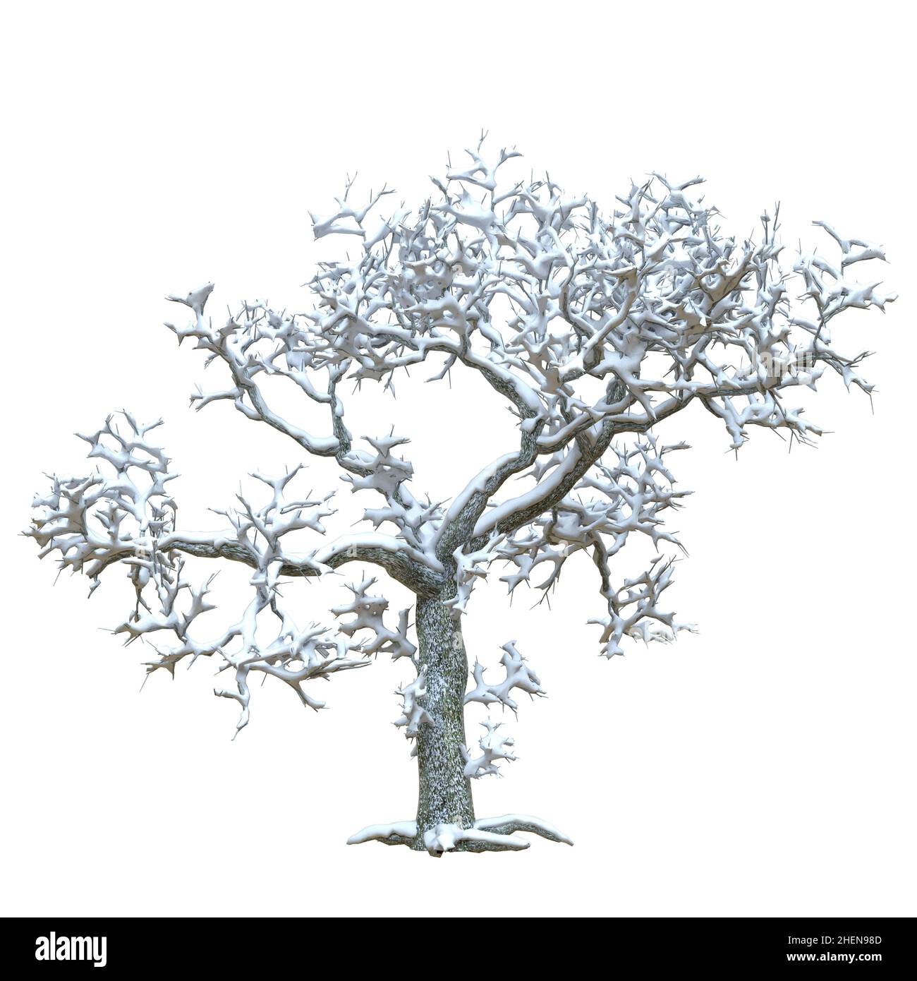 3D illustration winter tree under the snow isolated on white background ...