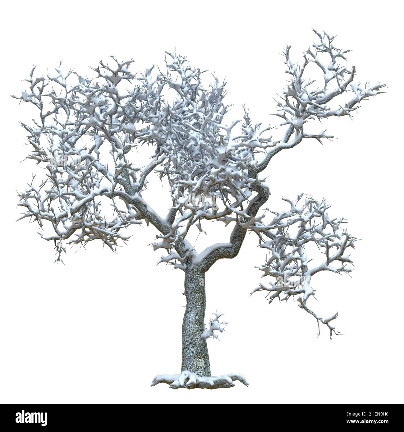 3D illustration winter tree under the snow isolated on white background ...