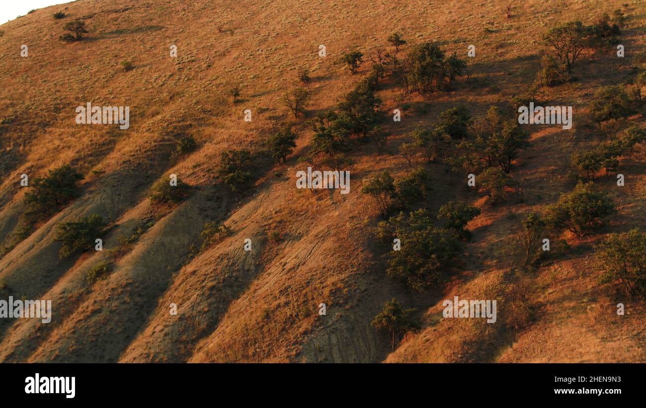 Aerial of mountain slope covered by grass ans rare trees on blue sky ...