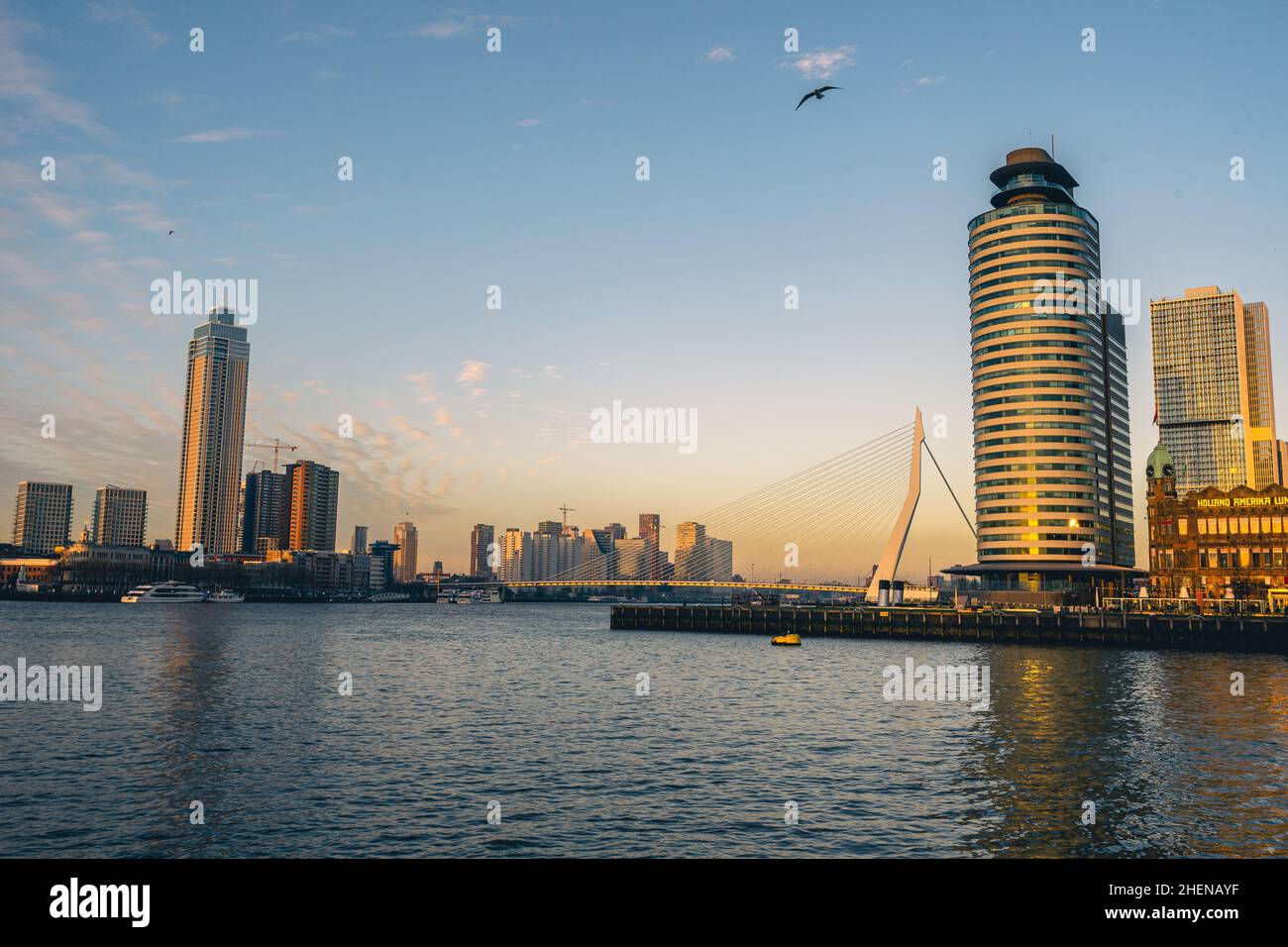 Rotterdam background hi-res stock photography and images - Alamy