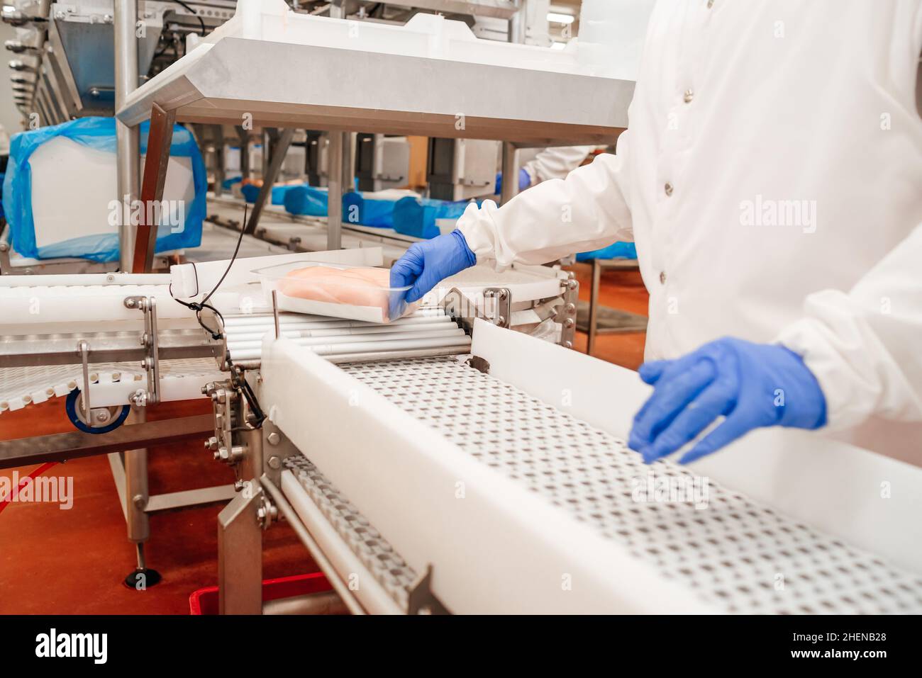 Line for the production of semi-finished meat products.Meat processing ...