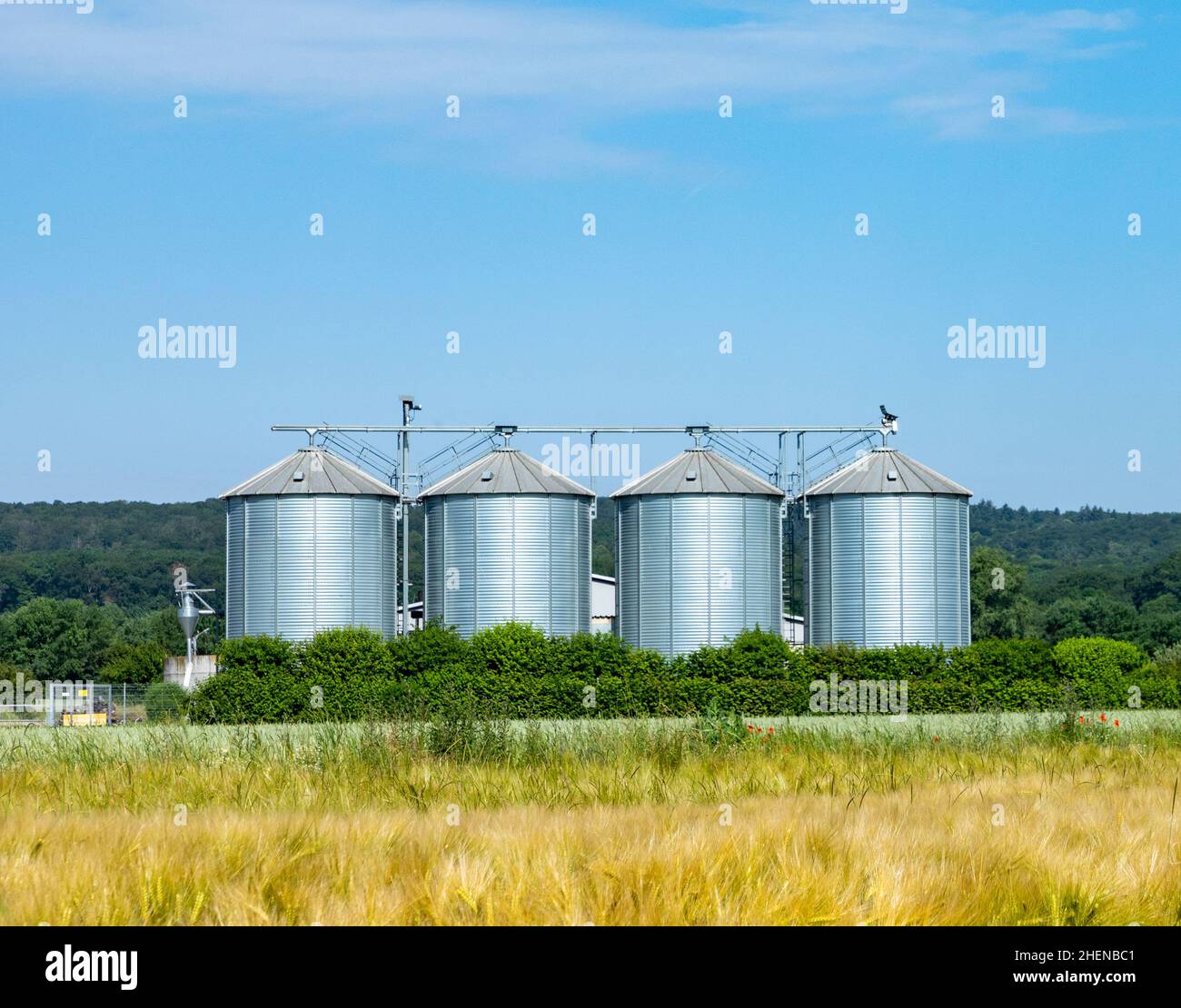 silo at the field for corn under blue sky as symbol for agriculture ...