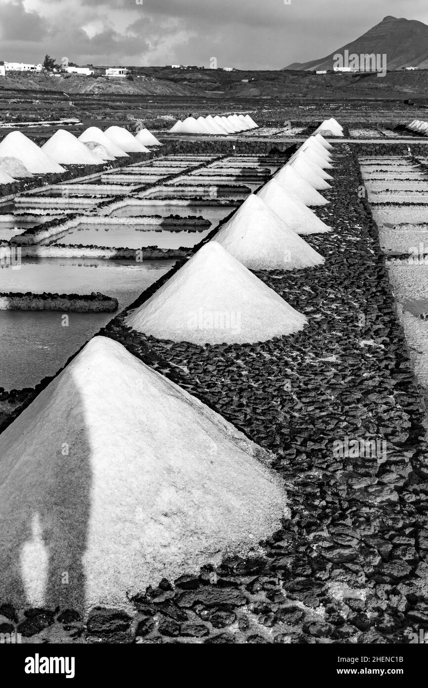 Saline soil Black and White Stock Photos & Images - Alamy