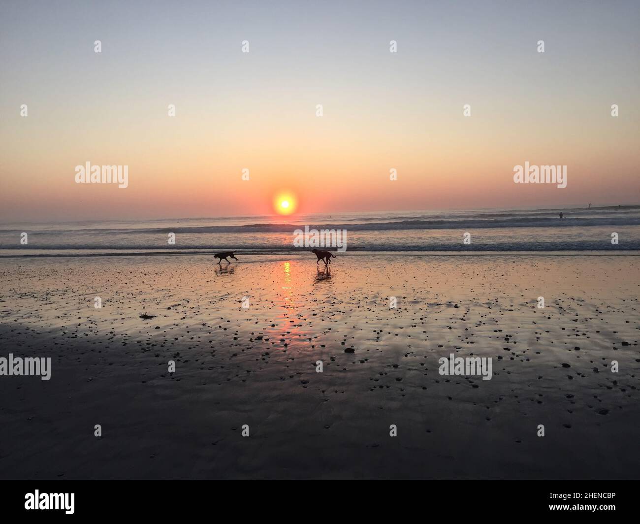 Scenic dogs hi-res stock photography and images - Alamy