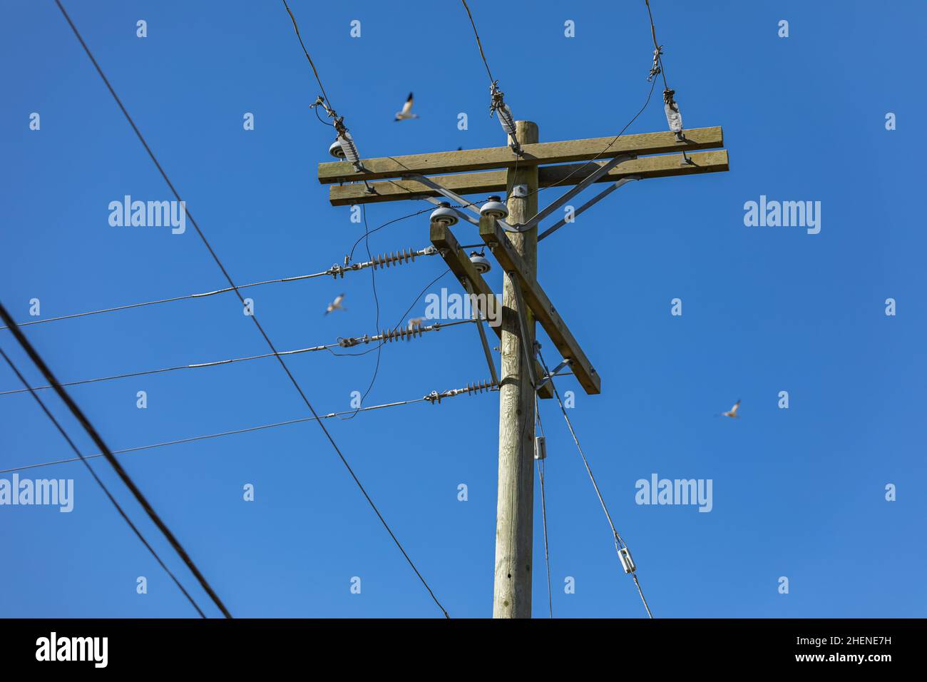 Wooden transmission tower hi-res stock photography and images - Alamy