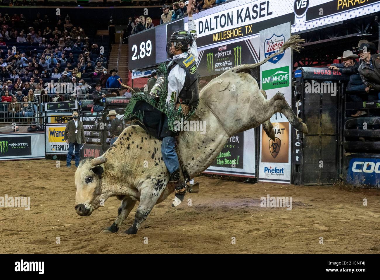 New York, United States. 08th Jan, 2022. Dalton Kasel rides Mezcal ...