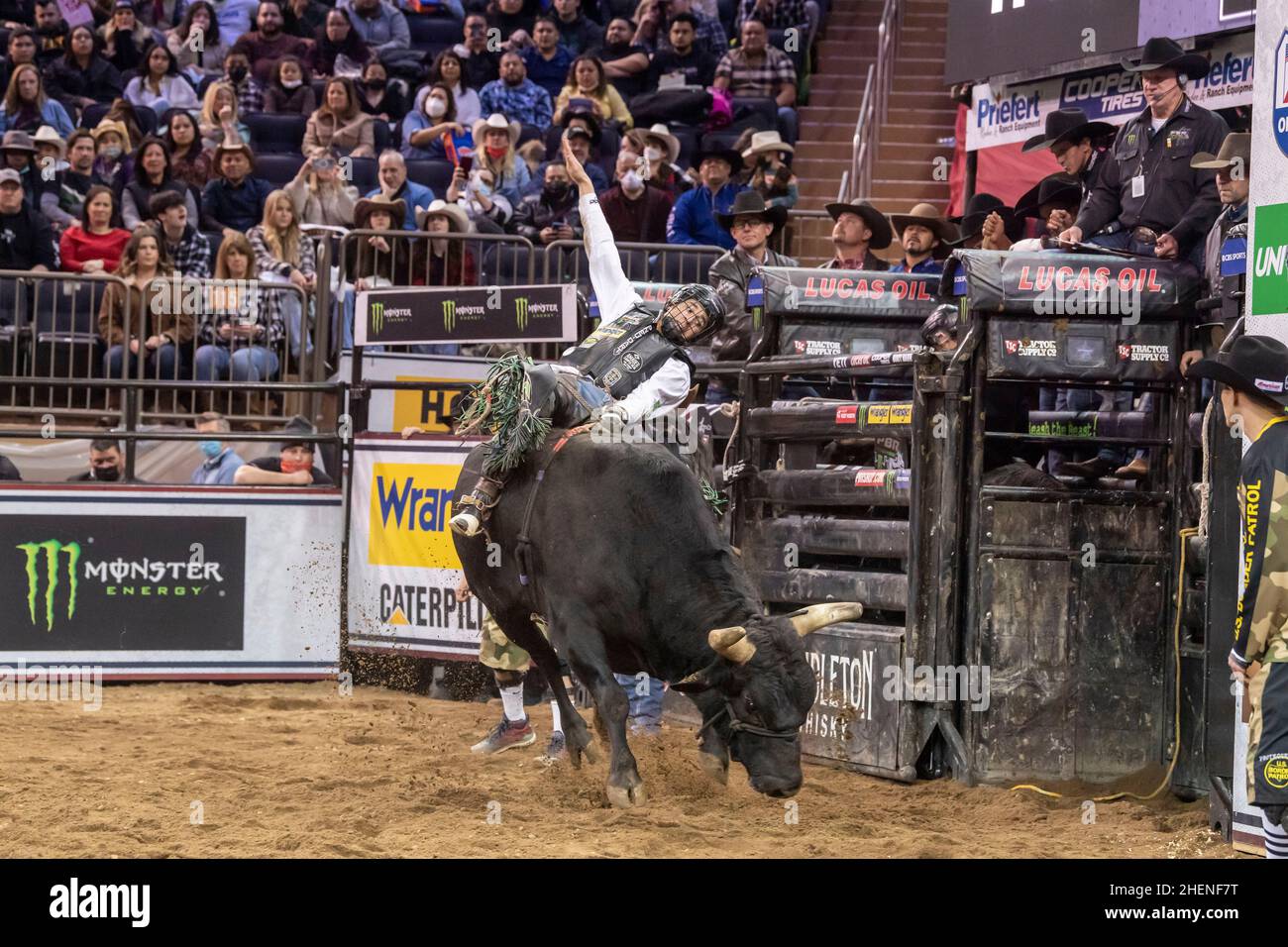 New York, United States. 08th Jan, 2022. Dalton Kasel rides The Good ...