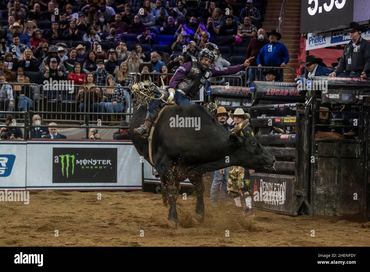 NEW YORK, NY - JANUARY 08: Alex Cardozo rides War Dress during the ...