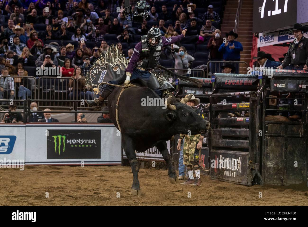 NEW YORK, NY - JANUARY 08: Alex Cardozo rides War Dress during the ...