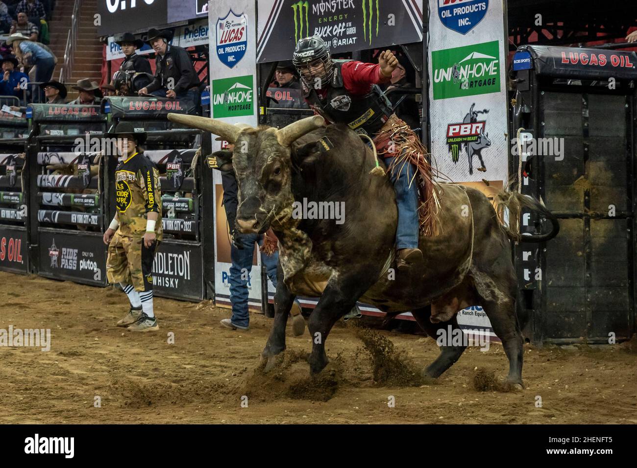 Silvano Alves Vs Bushwacker
