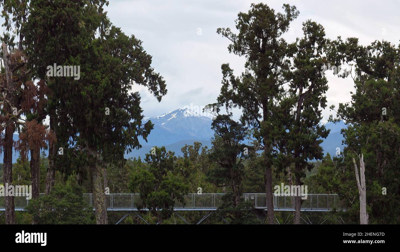 Steel platform through trees hi-res stock photography and images - Alamy