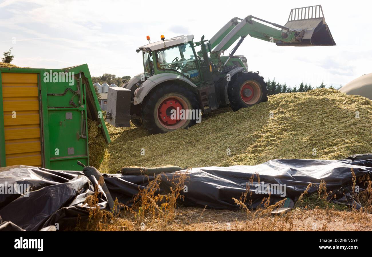 Fodder machine hi-res stock photography and images - Alamy